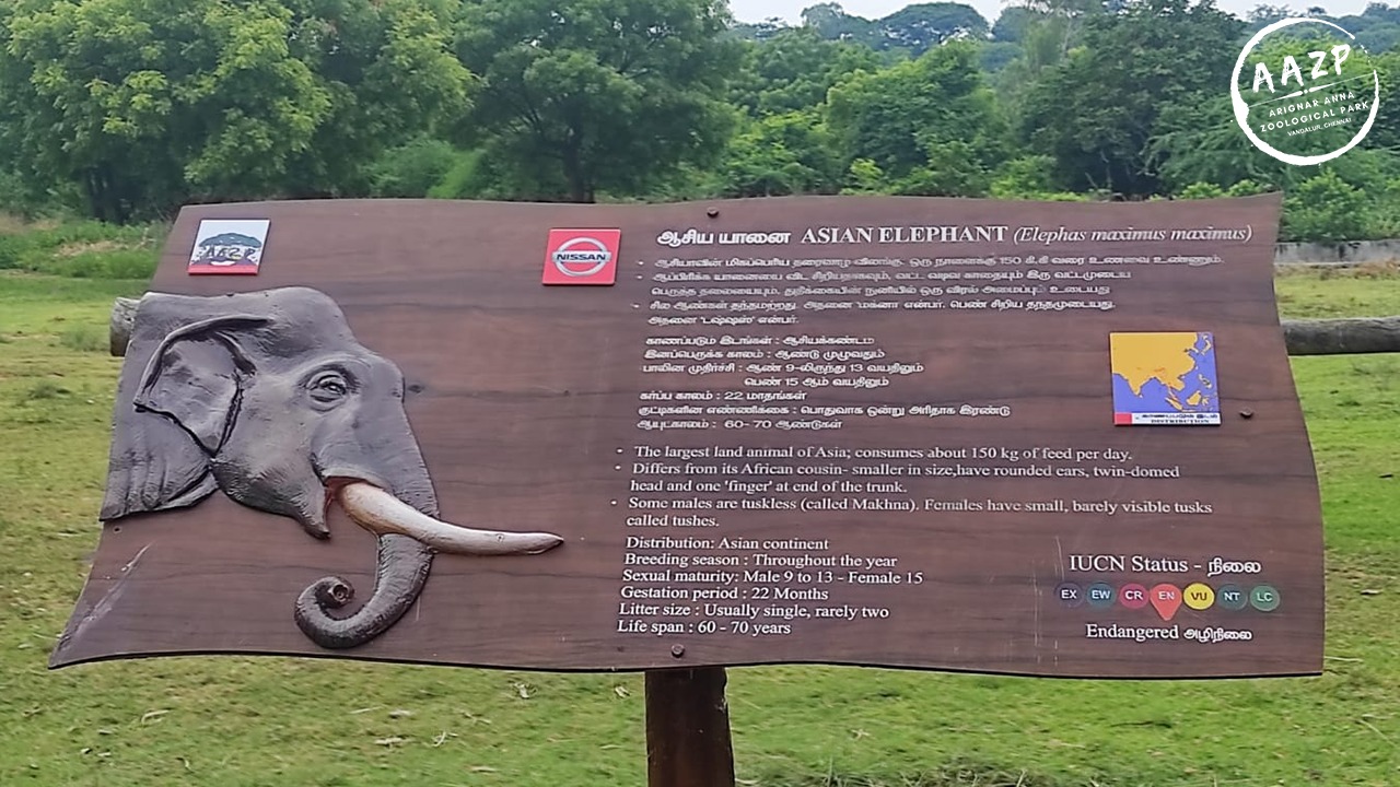 AAZP - CSR Activities at Zoo